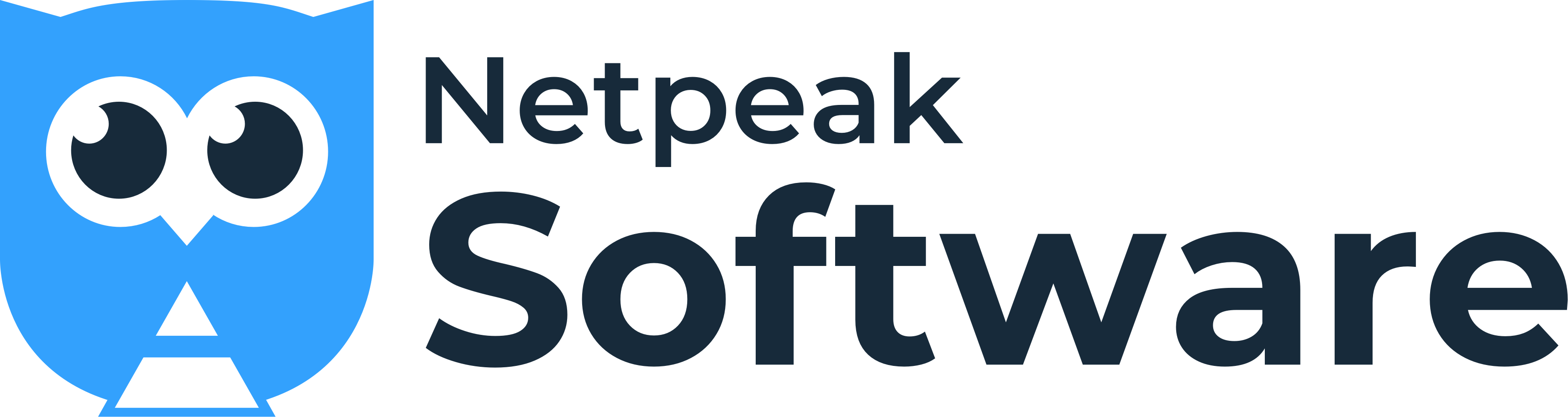 Netpeak Software